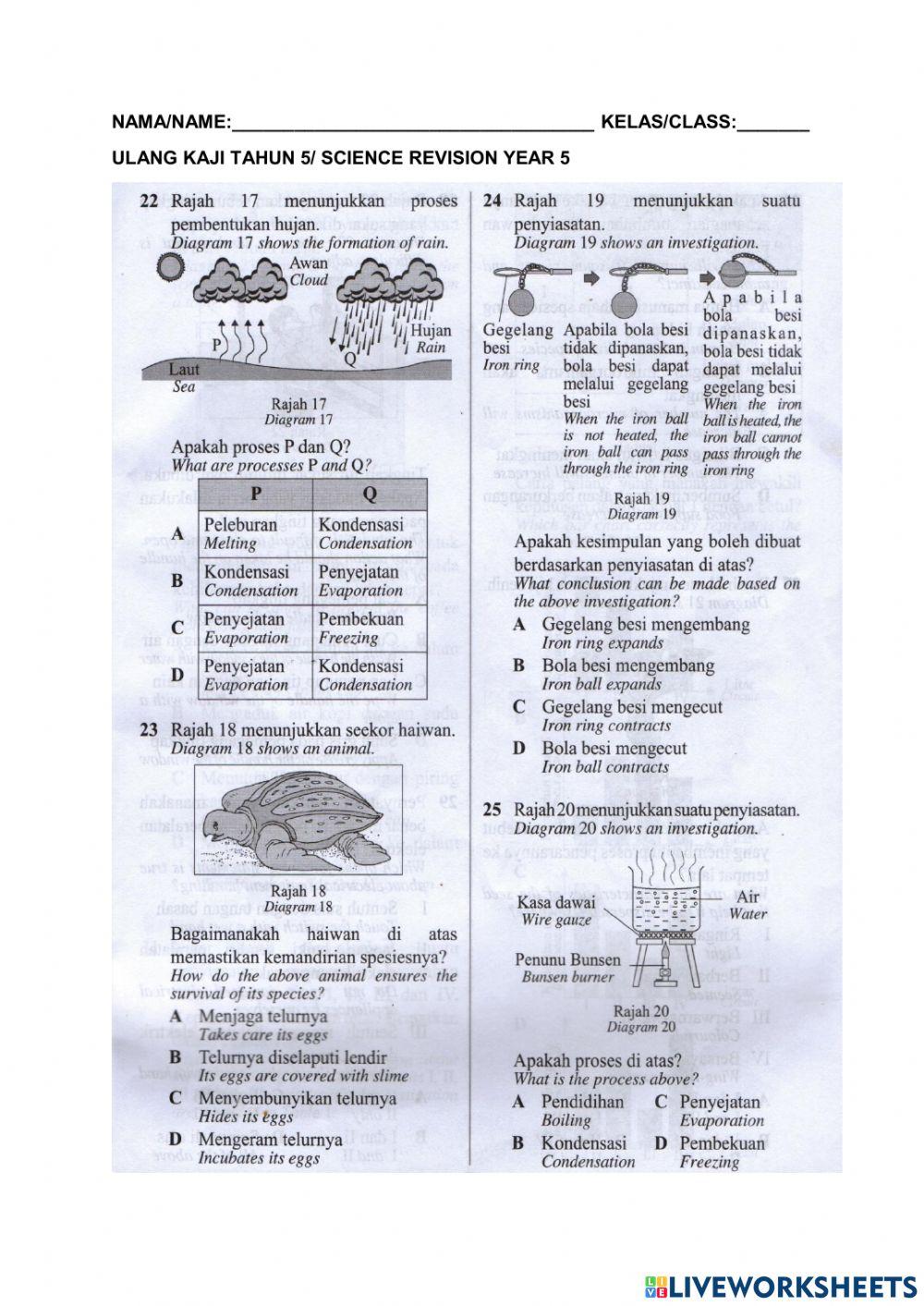 Revision science year 5 (6) worksheet | Live Worksheets