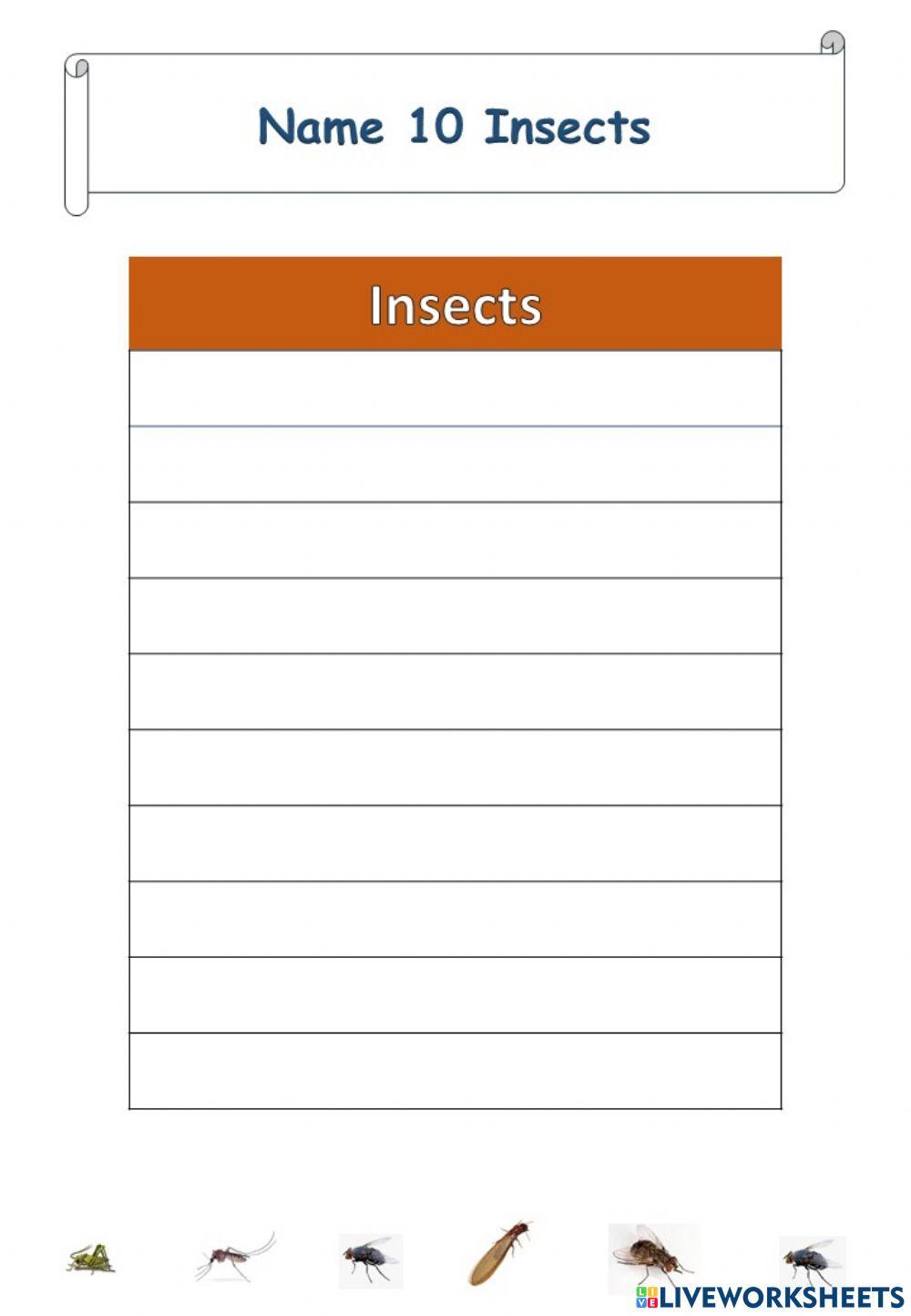 Insects | Free Interactive Worksheets | 1661014