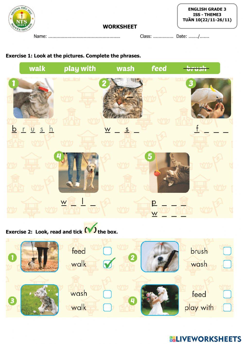 1661281 | Theme 3 - lesson 5,6-ISSSE grade 3 | bui thuy