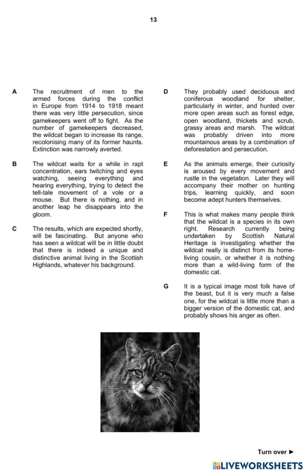 CAE sample 2015 part 2 | titeovidiu | Live Worksheets