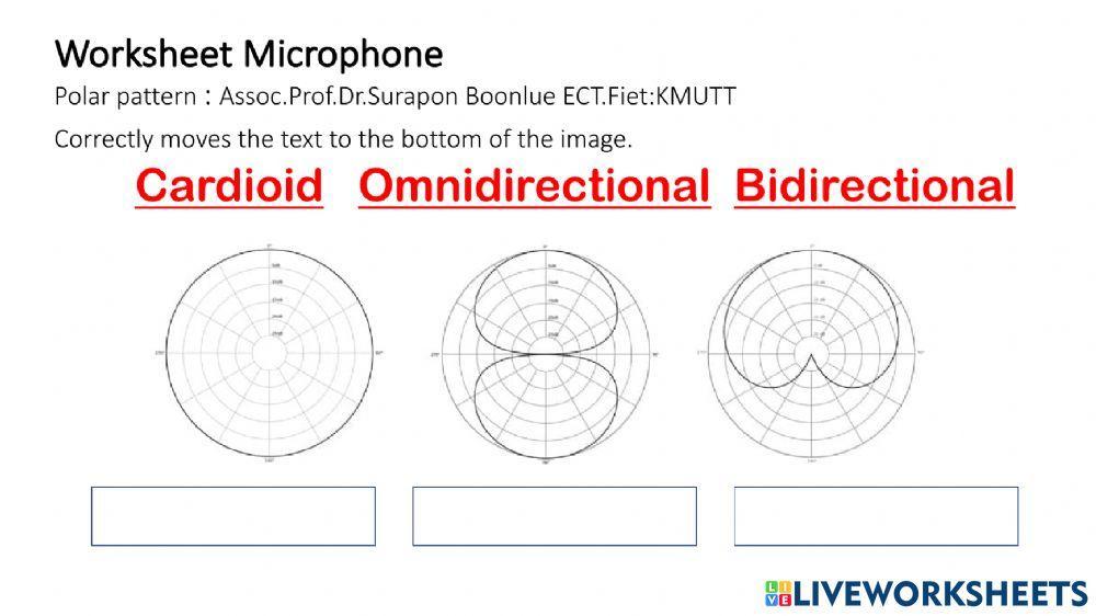 microphone worksheet