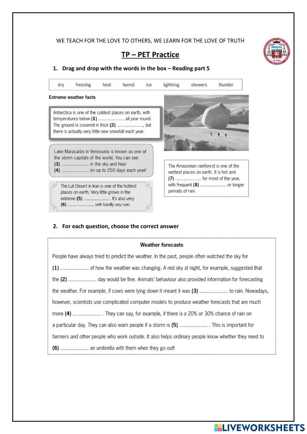 TP – PET Practice worksheet | Live Worksheets