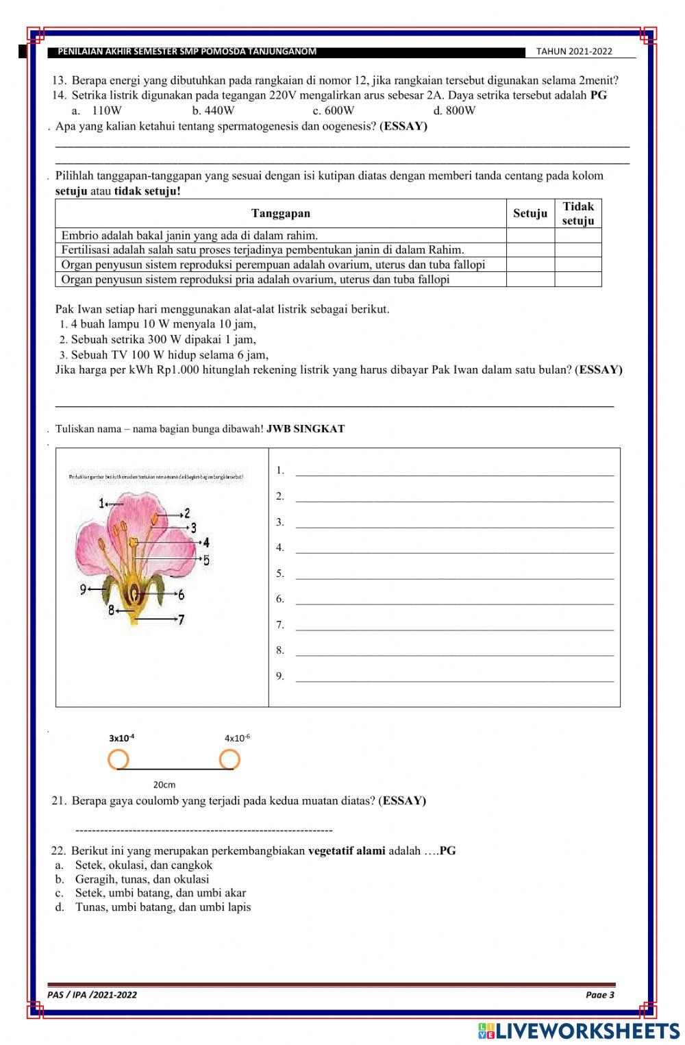 Ipa online exercise for 9 | Live Worksheets
