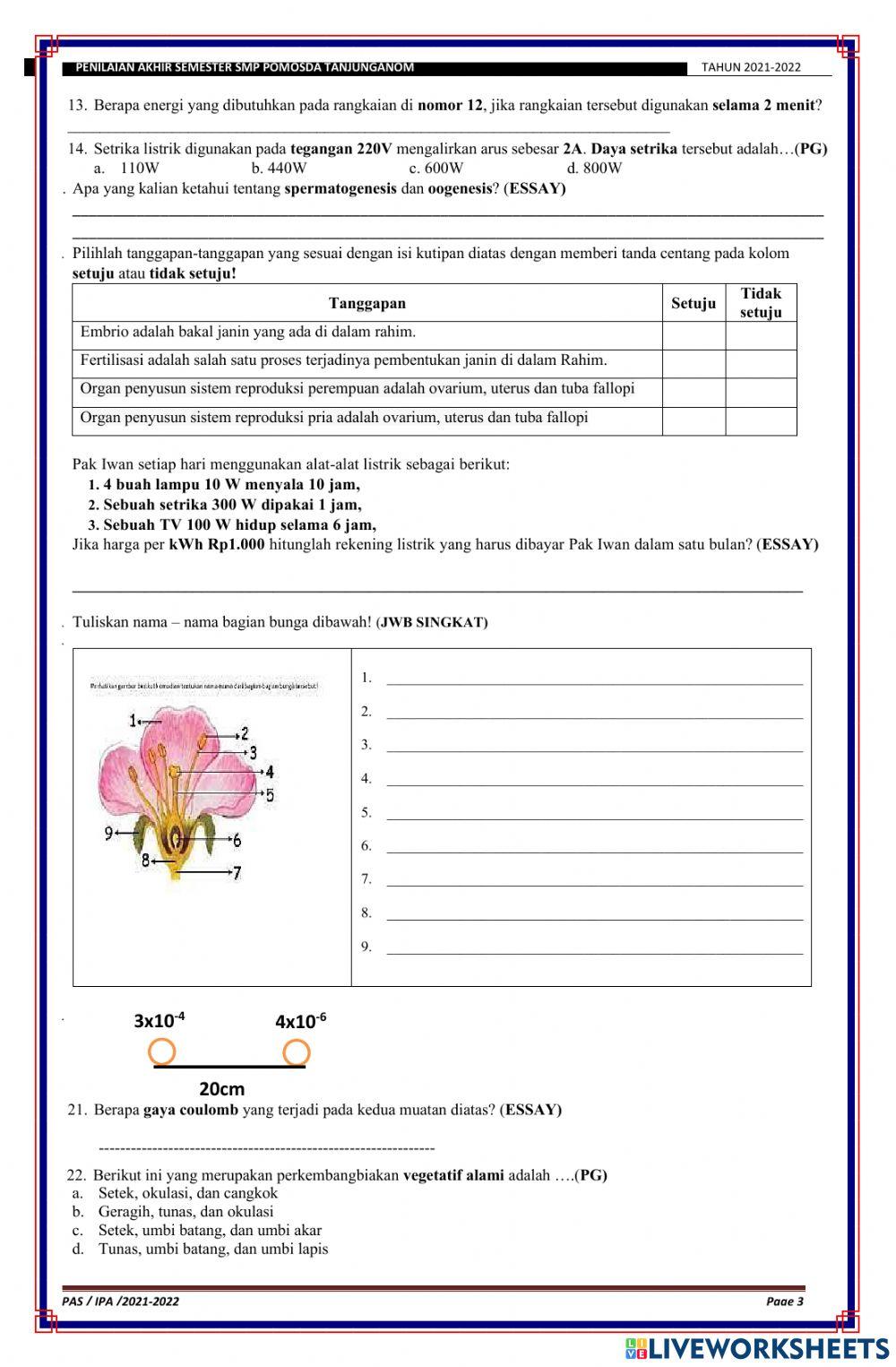 Pas ipa online worksheet | Live Worksheets