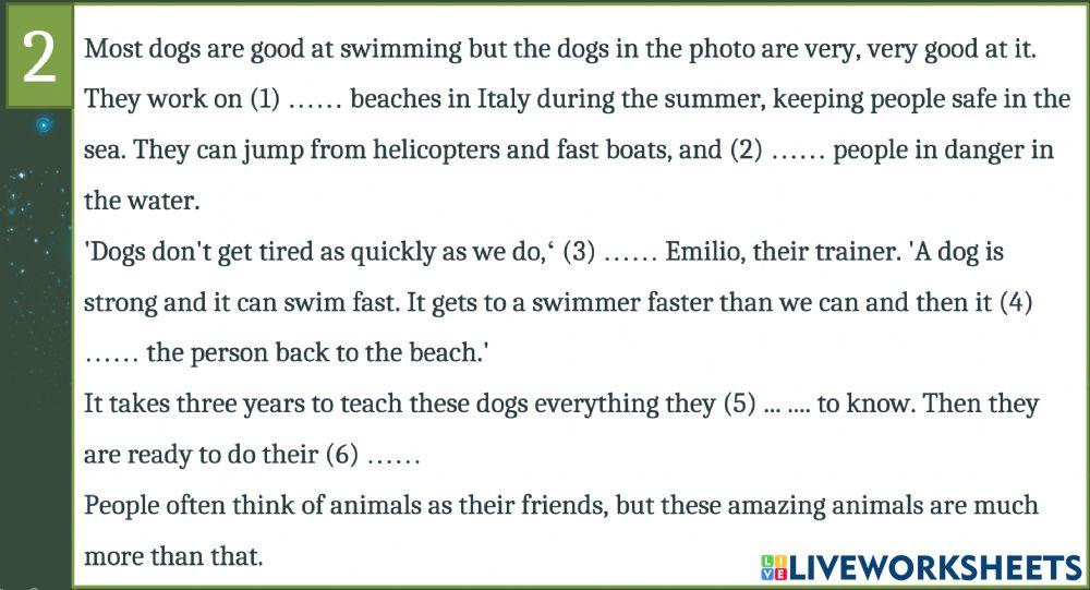 Reading ket 1664742 | AVCB_HVCT2 | Live Worksheets