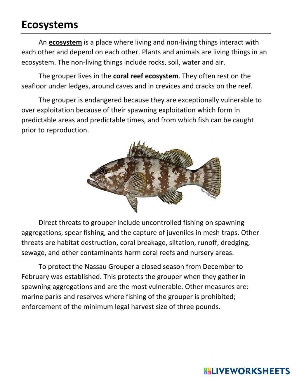 Ecosystems 1667239 | KattStubbs | Live Worksheets