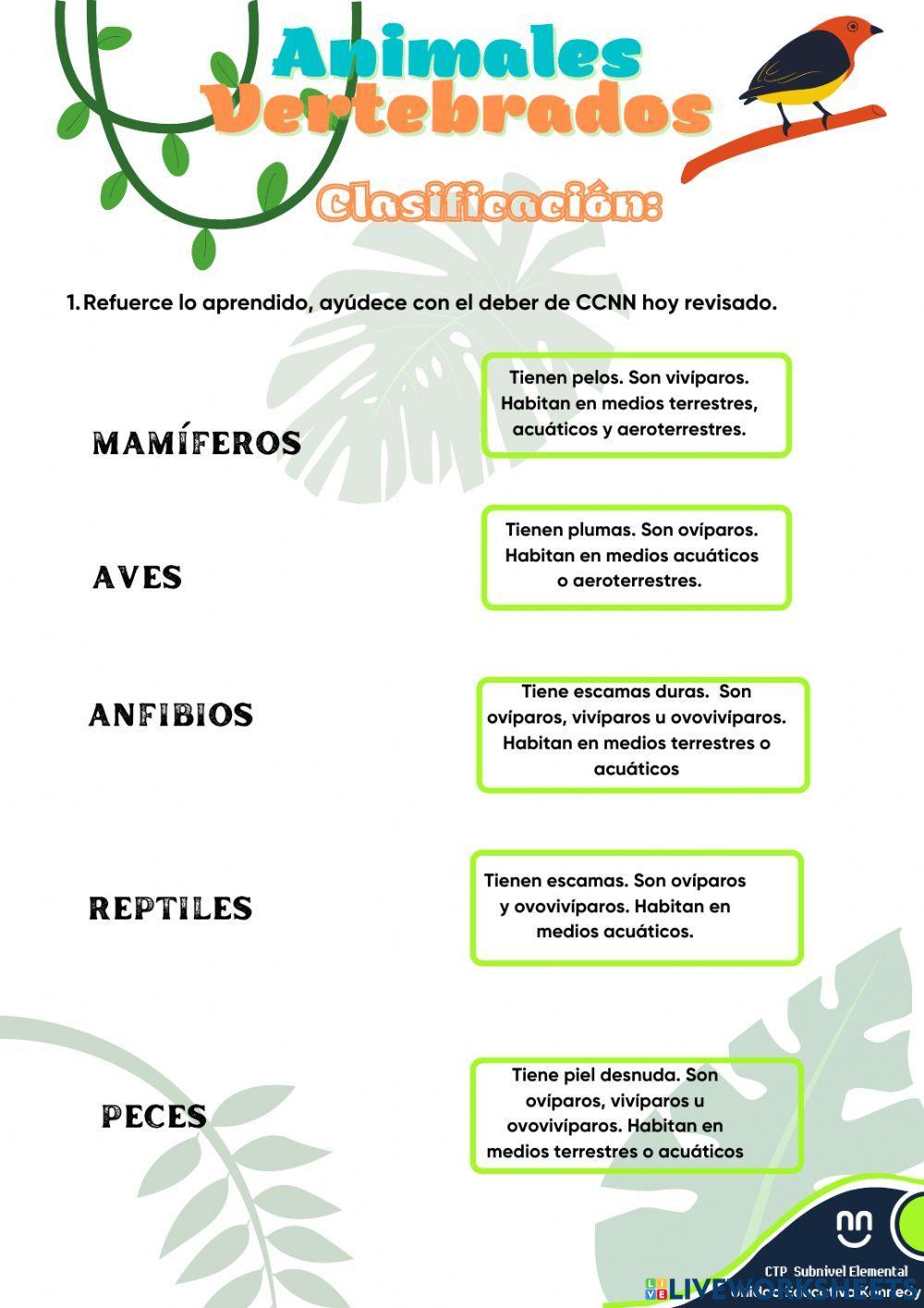 Vertebrados | Free Interactive Worksheets | 1670333