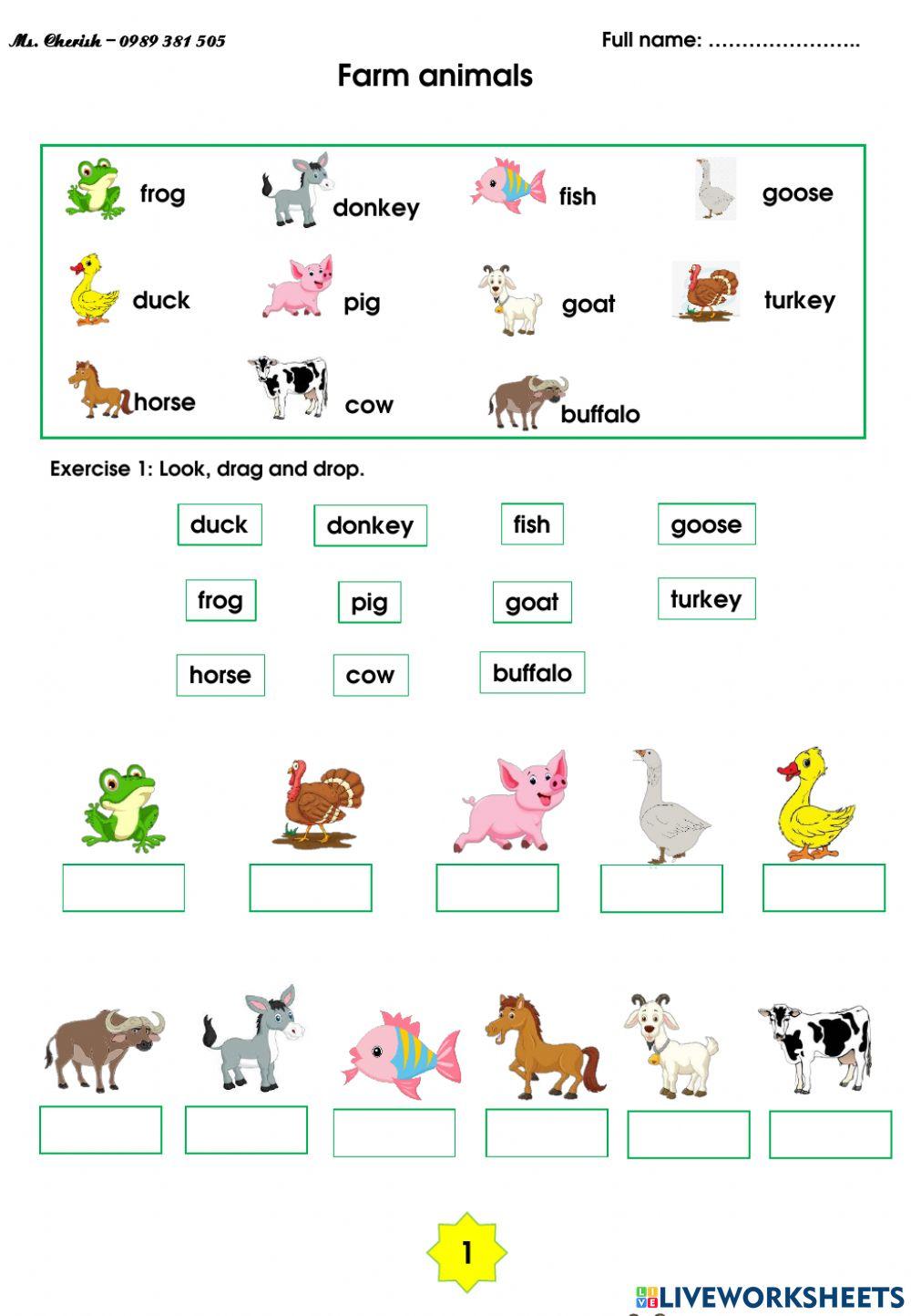 Fam animals 1671901 | Nguyen Thi Tan | Live Worksheets