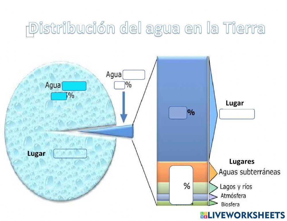 Distribución de… | Free Interactive Worksheets | 1677671