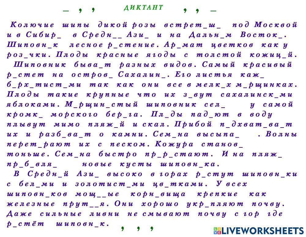 Диктант. Имя сущ. 1675469 | Natflia | Live Worksheets
