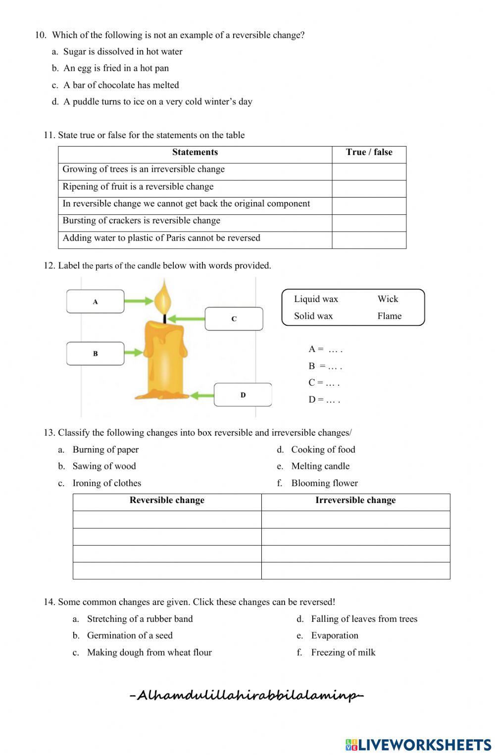 Review Reversible and Irreversible Changes online exercise for | Live ...
