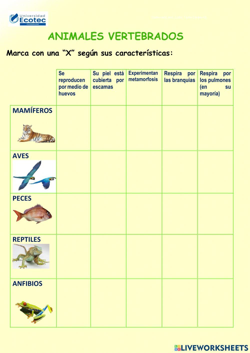 Animales vertebrados online exercise for 5° EBG | Live Worksheets
