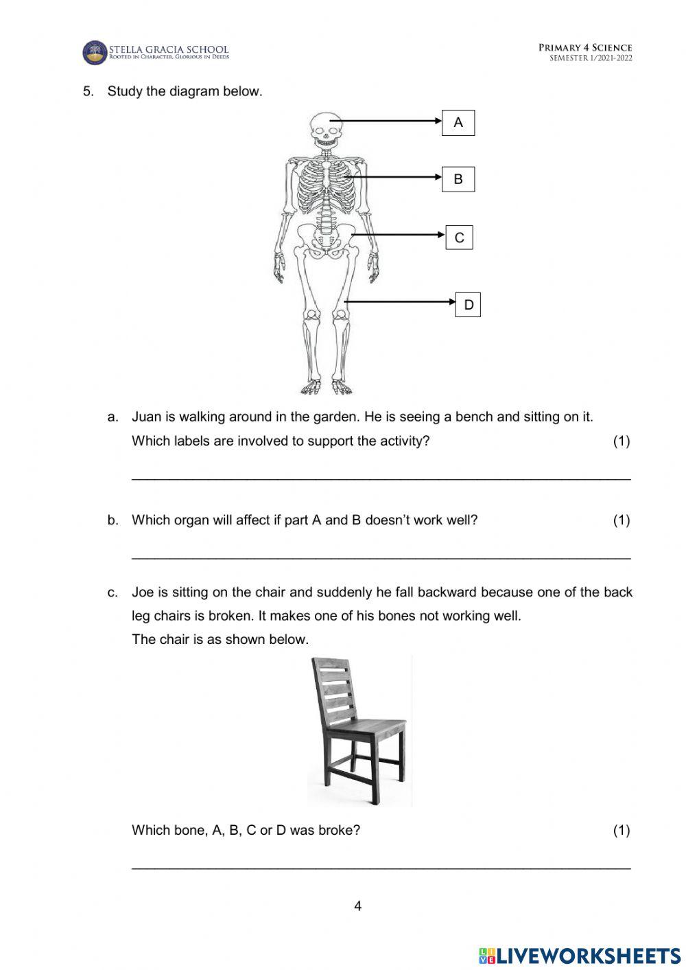 MYA P4 Science Question Part 1 6784620 | fonisanri | Live