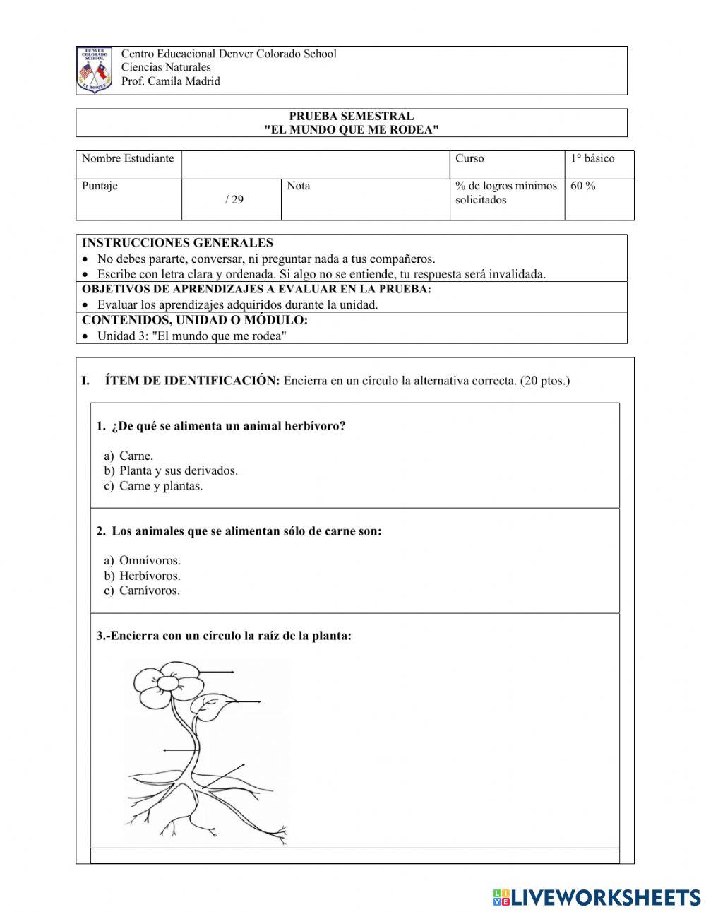 Prueba semestral el mundo que me rodea 3492652 | Camila