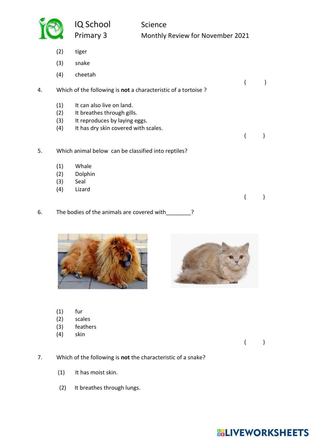 Science Monthly Test- Nov worksheet | Live Worksheets