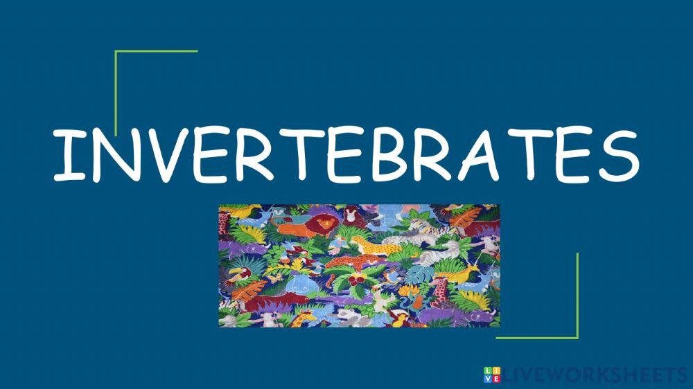 INVERTEBRATES 1 online exercise for | Live Worksheets