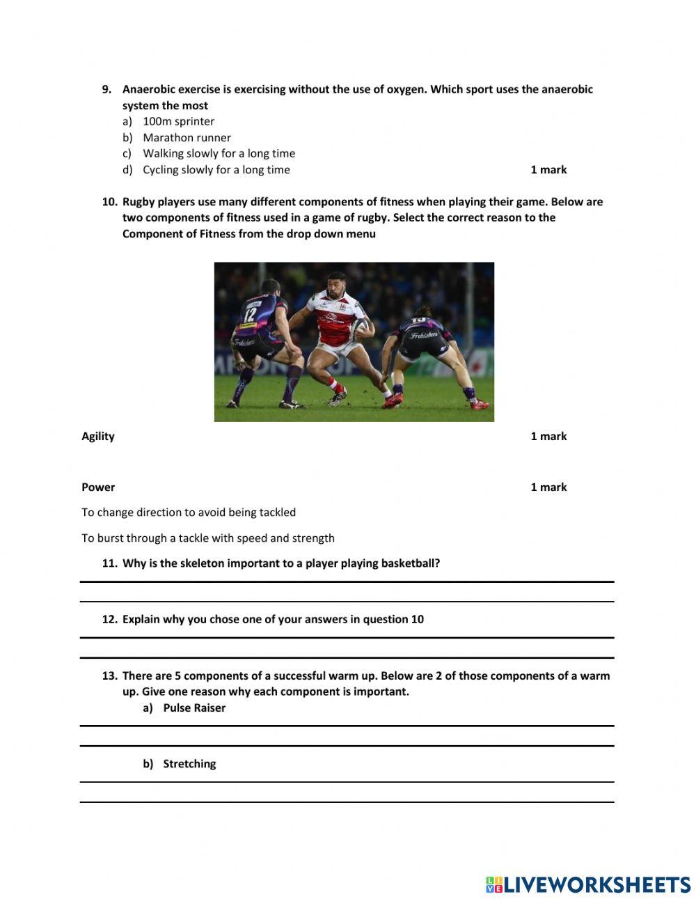 End of term Exam year 8 worksheet | Live Worksheets