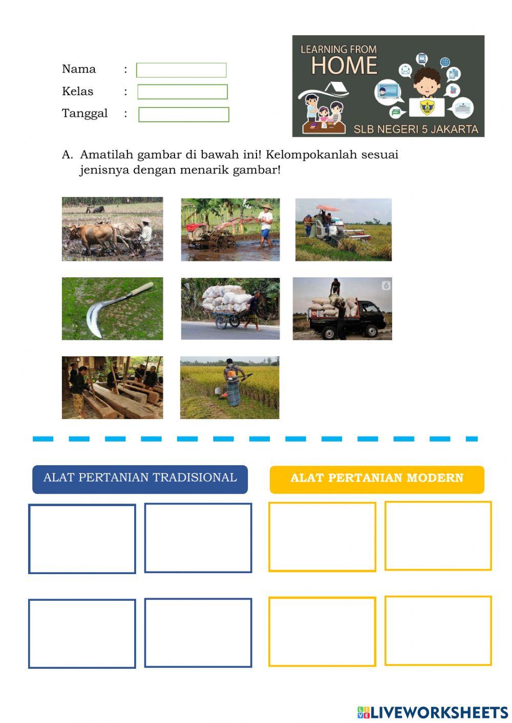 Alat Pertanian worksheet | Live Worksheets