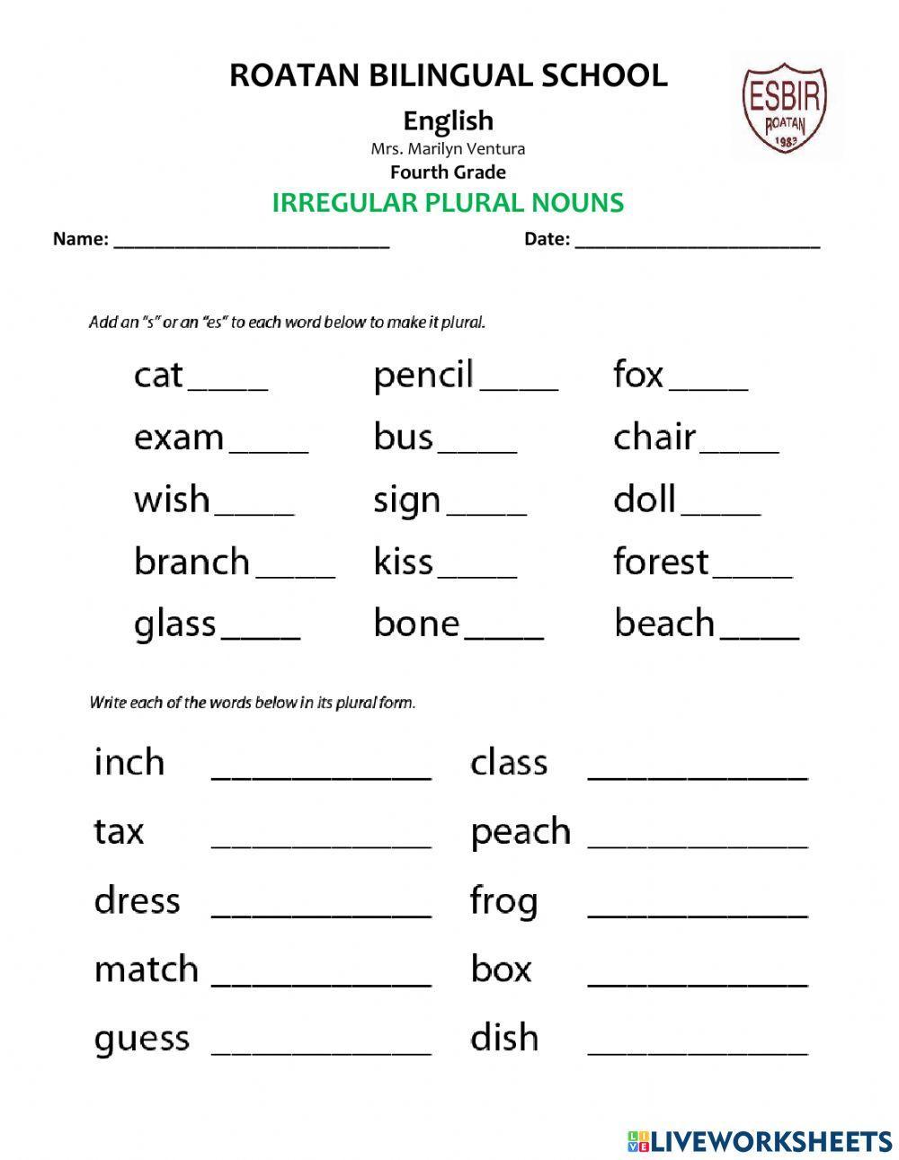 Irregular Plural Nouns Worksheet All Esl Nouns Worksheet Irregular ...