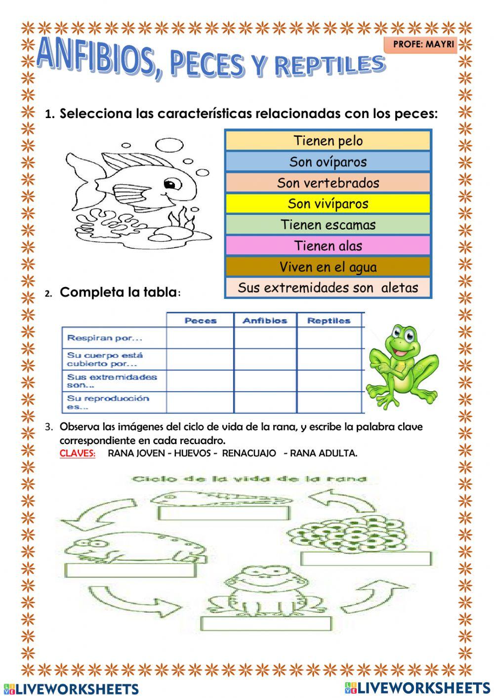 Vertebrados online pdf worksheet for Quinto | Live Worksheets