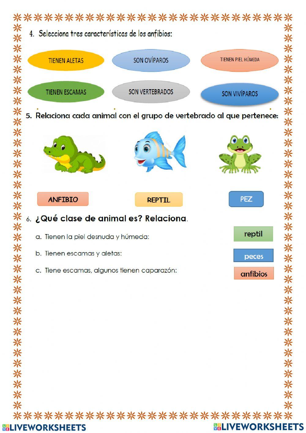 Vertebrados online pdf worksheet for Quinto | Live Worksheets