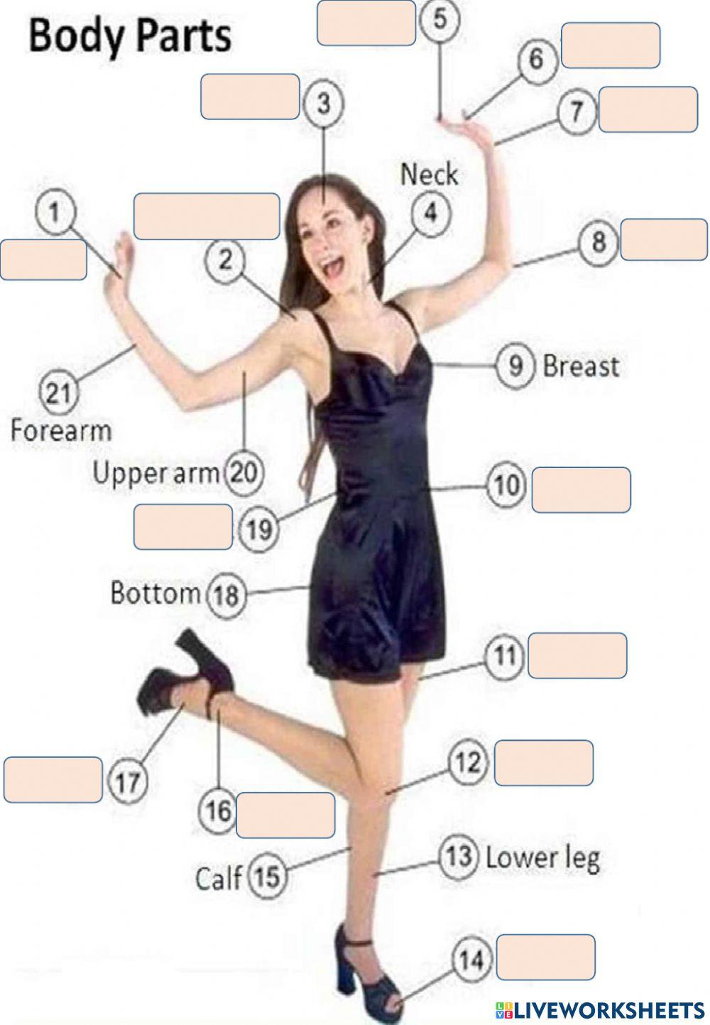 2605083 | OD2 - U8 - Body parts | MissNgoc1207