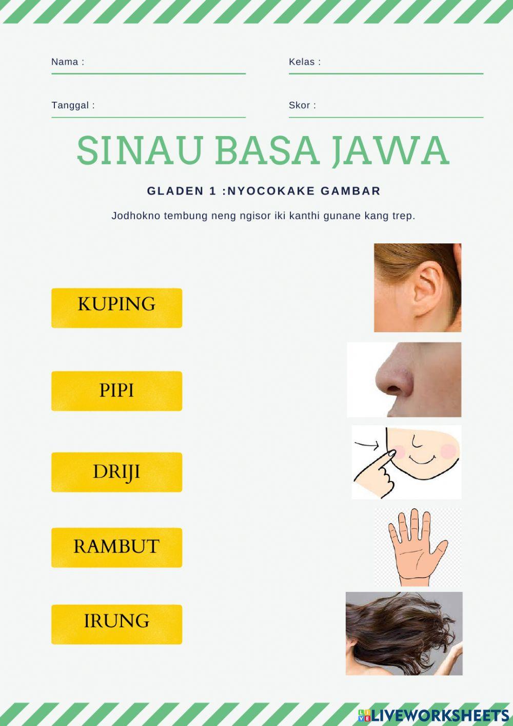 Basa Jawa interactive activity for 1 | Live Worksheets
