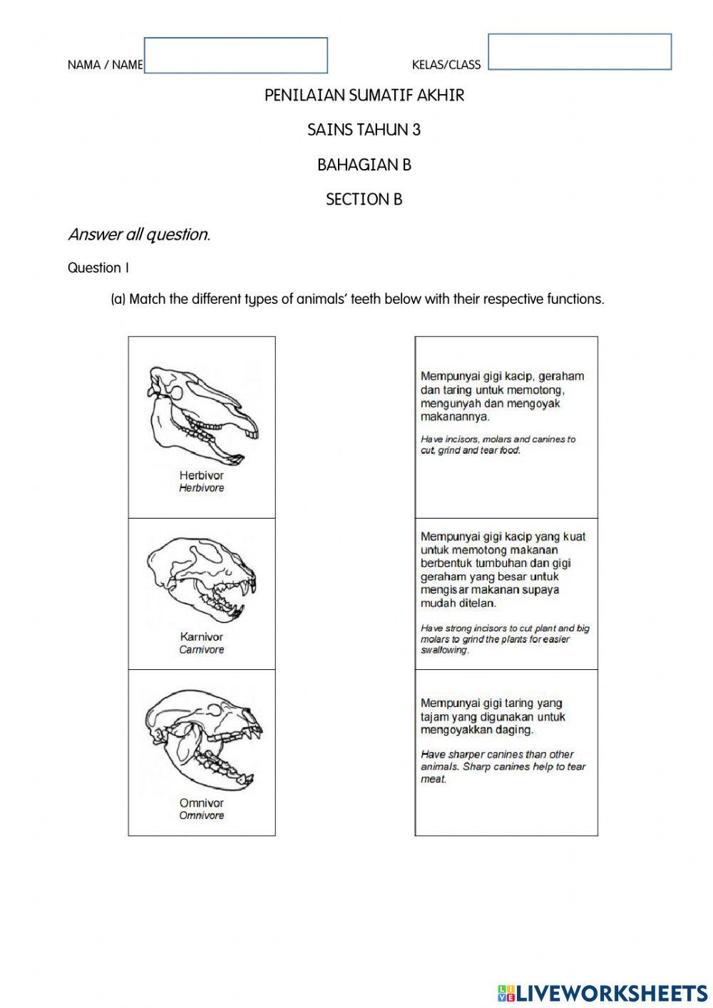 PART B SCIENCE YEAR 3 2645 | sumandak07 | Live