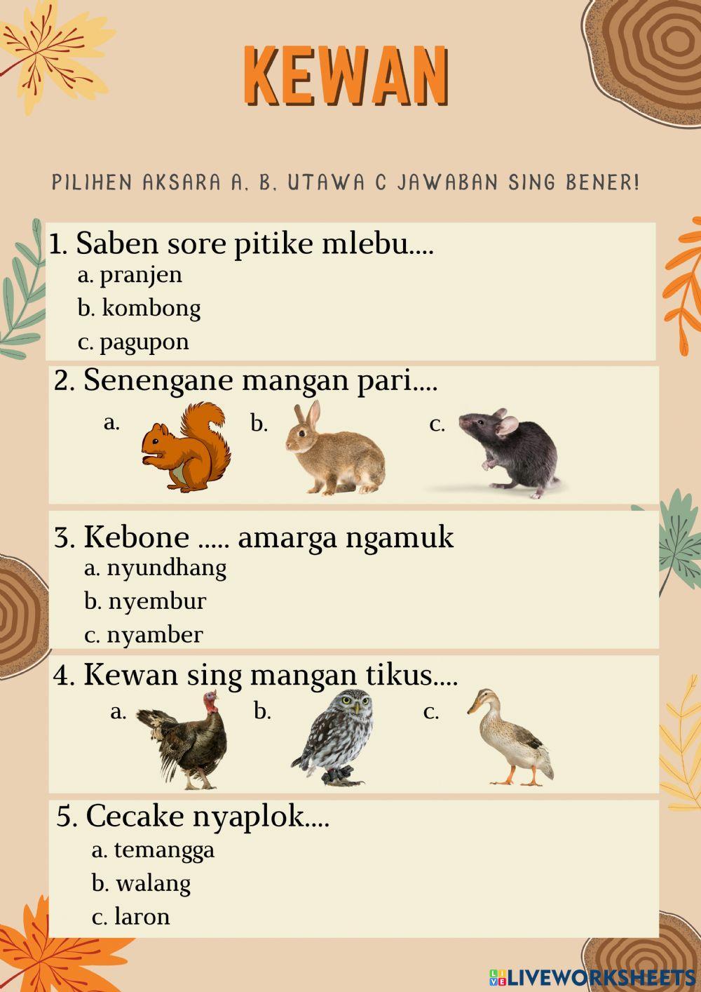 Kewan online worksheet | Live Worksheets