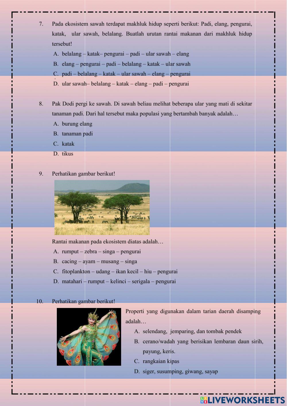 Soal kelas 5 hots worksheet | Live Worksheets