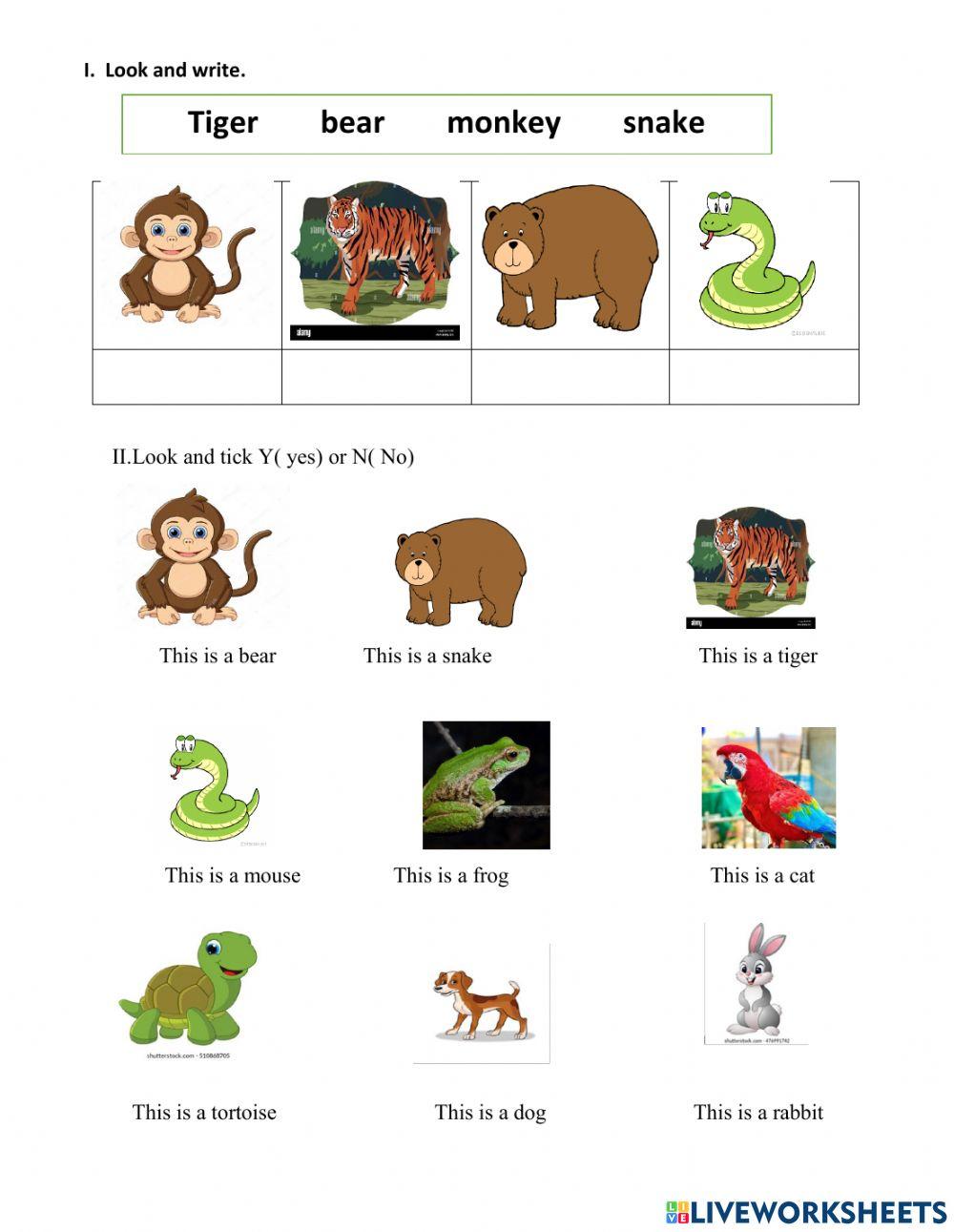 Animals 1686455 | Ngocan123 | Live Worksheets