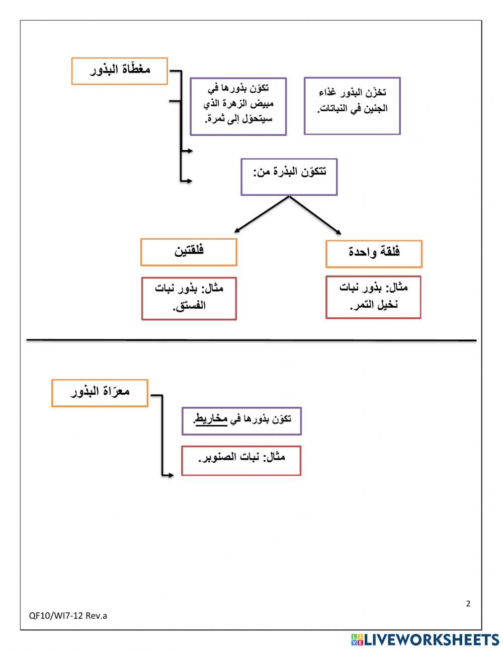 ورقة عمل التصنيف | nuha ahmad mohammad tobeh | Live