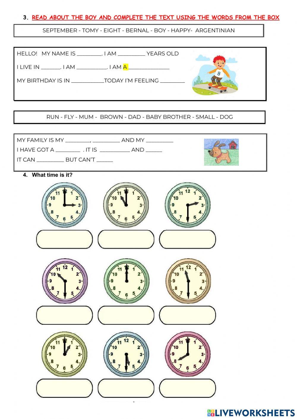 General knowledge activity for 2nd | Live Worksheets