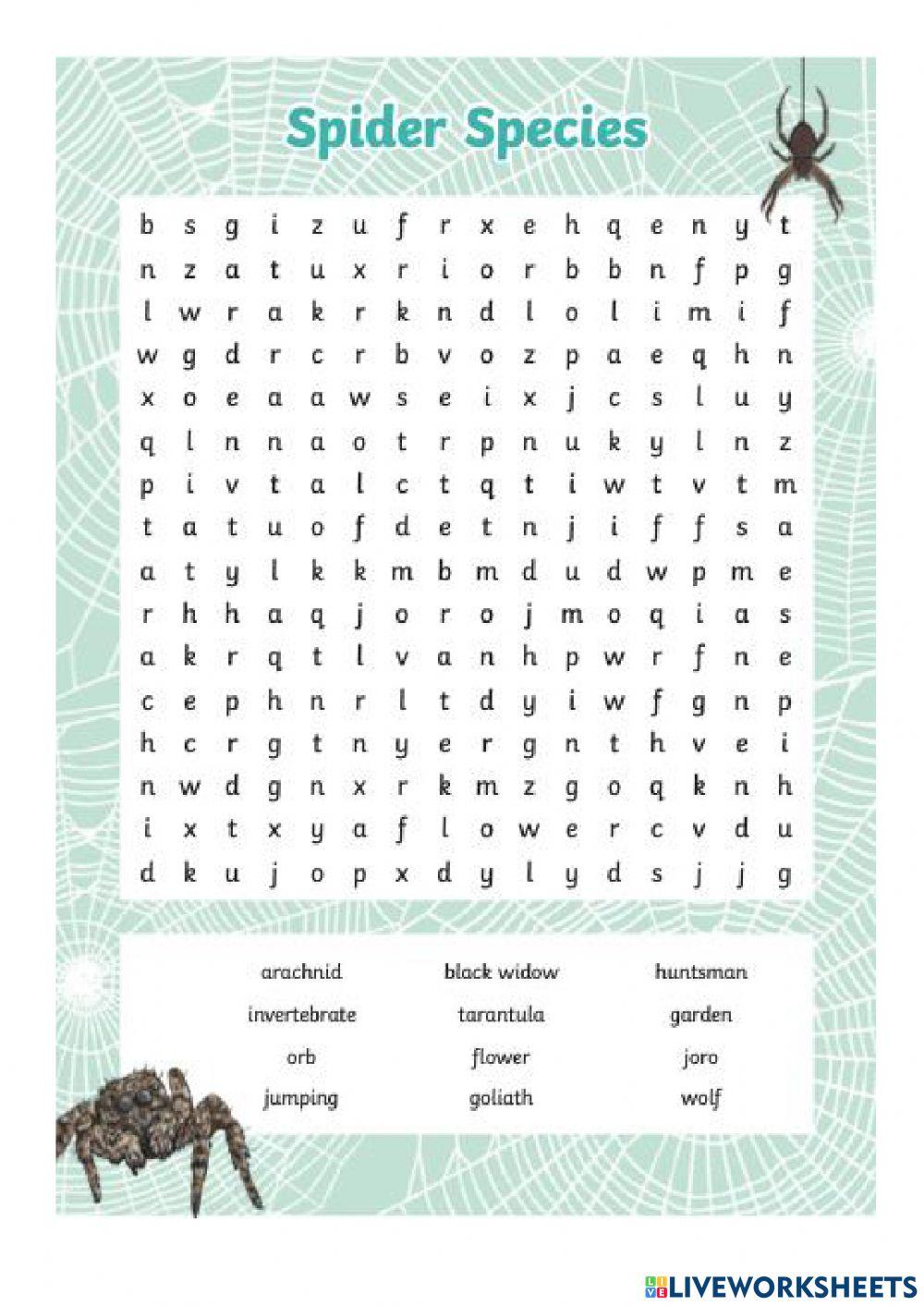 Spiders Facts | Free Interactive Worksheets | 1688030