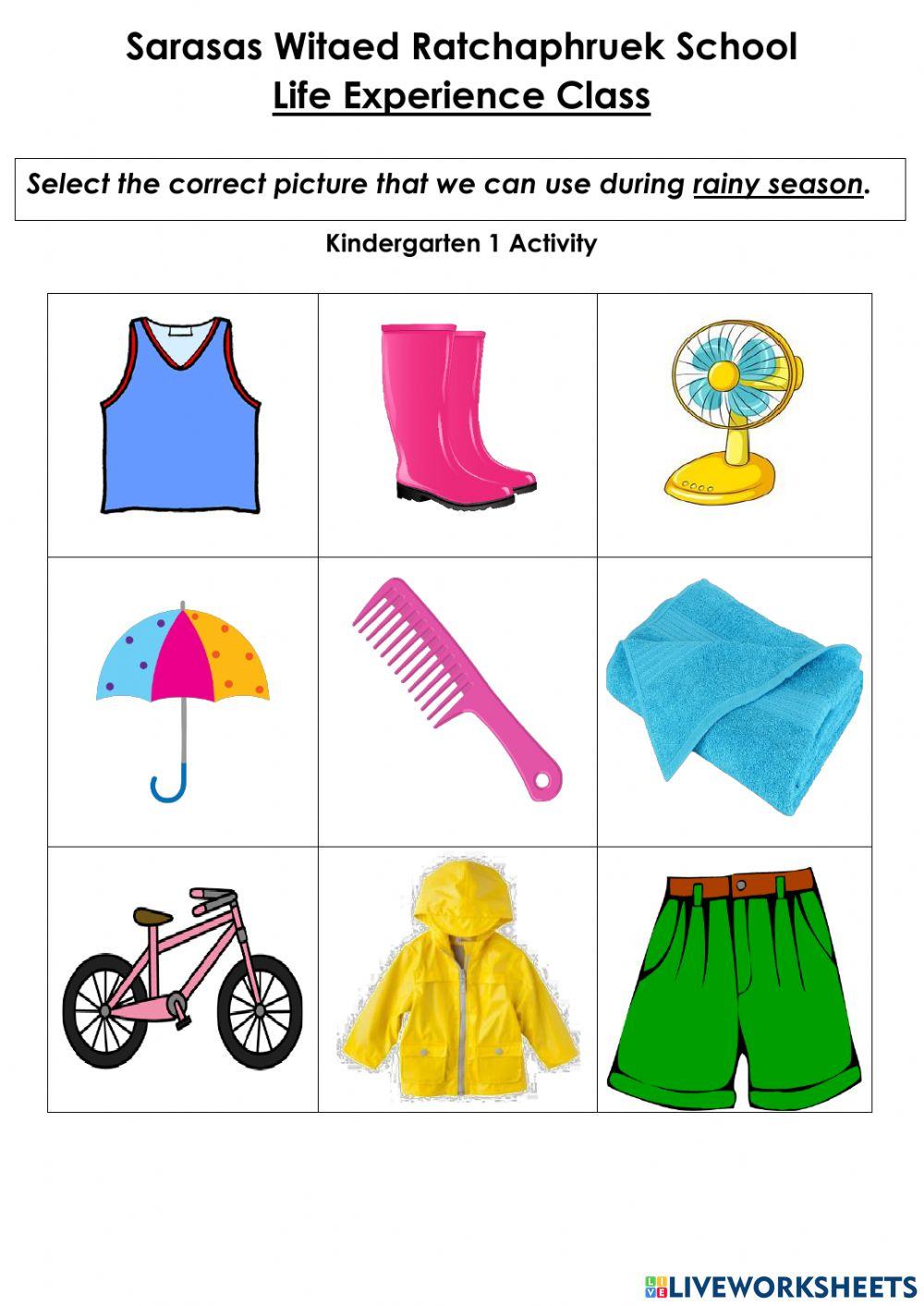 Rain Protections online exercise for | Live Worksheets
