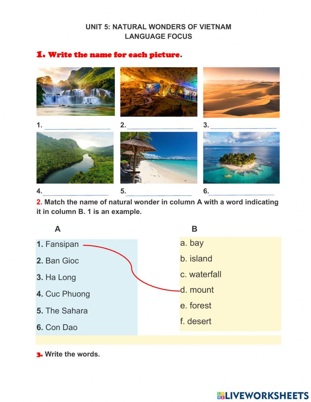 English 6 - unit 5 - looking back worksheet | Live Worksheets