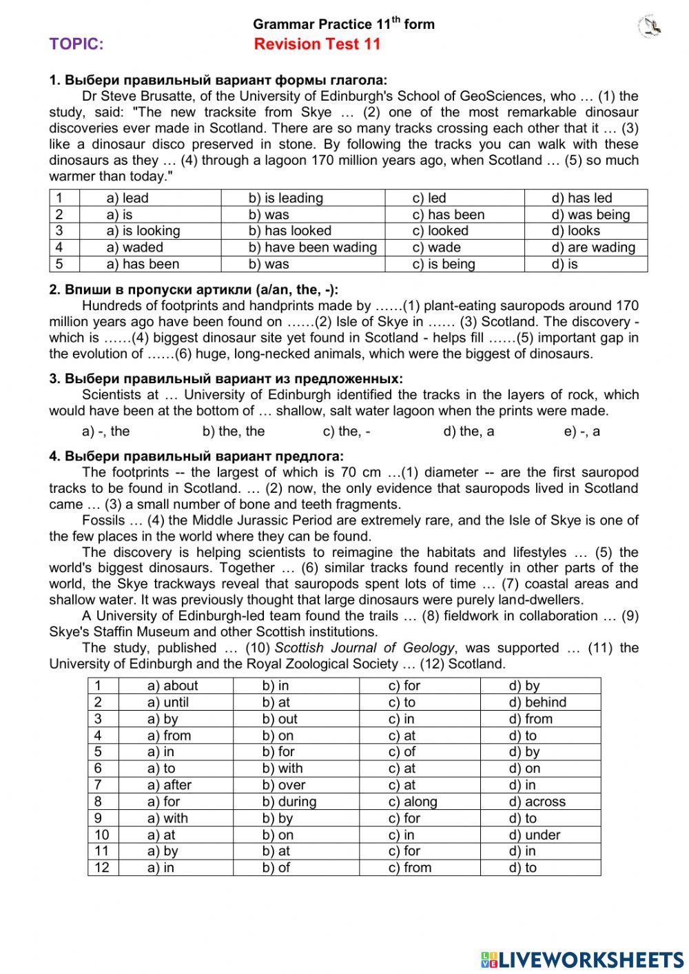 547541 | Revision Test 11 (11th form) | Alesia Vorobey