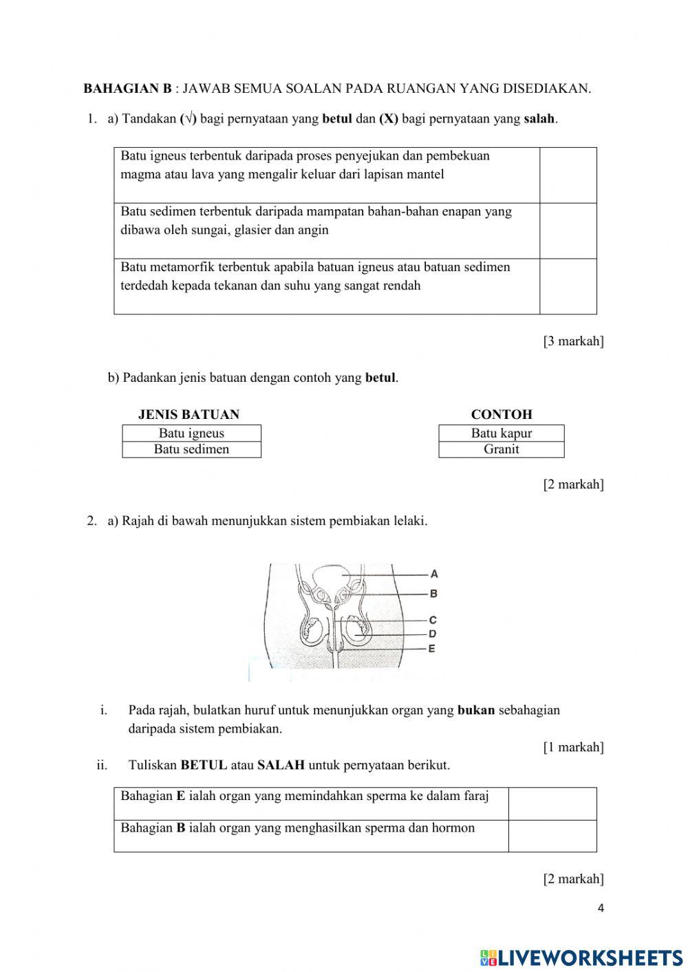 PAT AKHIR TAHUN… | Free Interactive Worksheets | 3496105