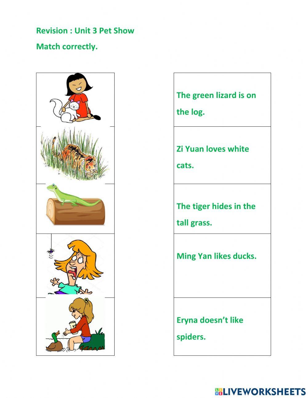 Unit 3 Pet Show interactive exercise for Intermediate | Live Worksheets