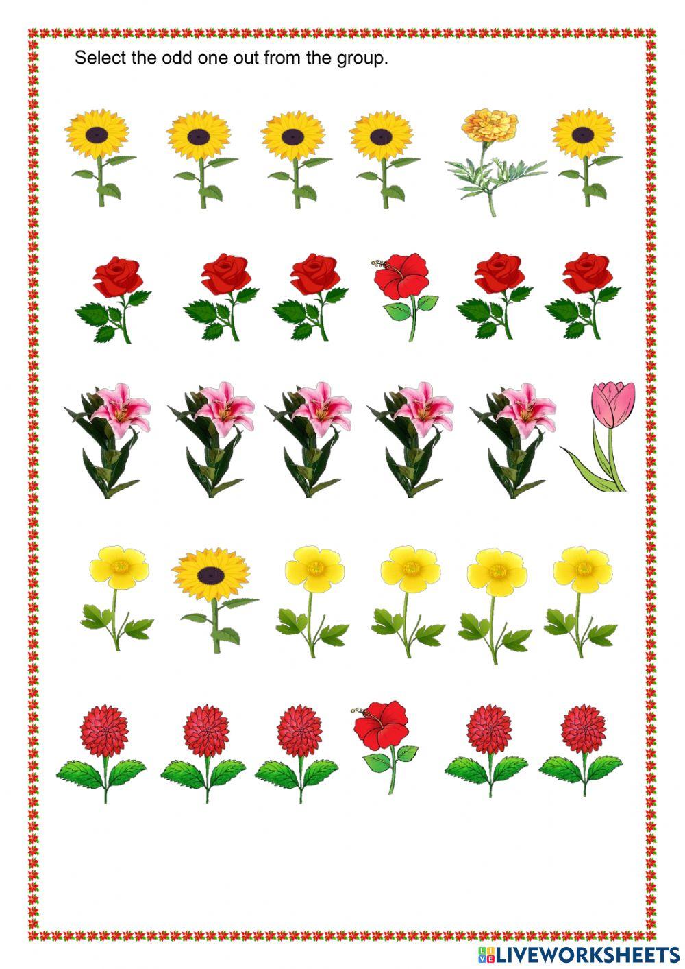 NOV SET 2 EVS 1 LKG B 3497056 | NVEENA | Live Worksheets