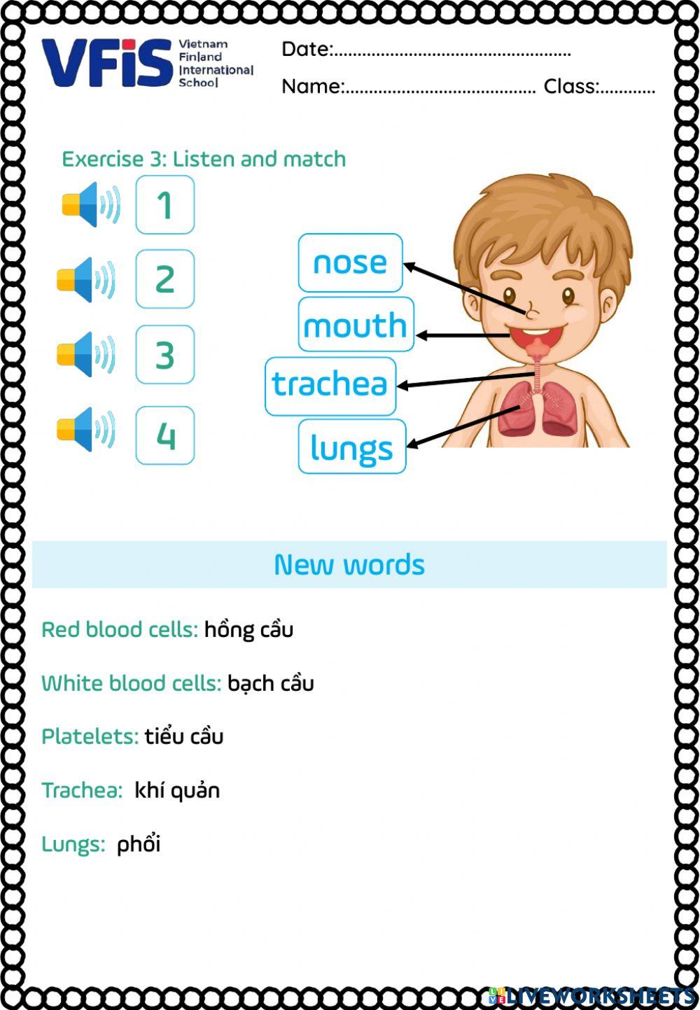 Science Week 13 worksheet | Live Worksheets
