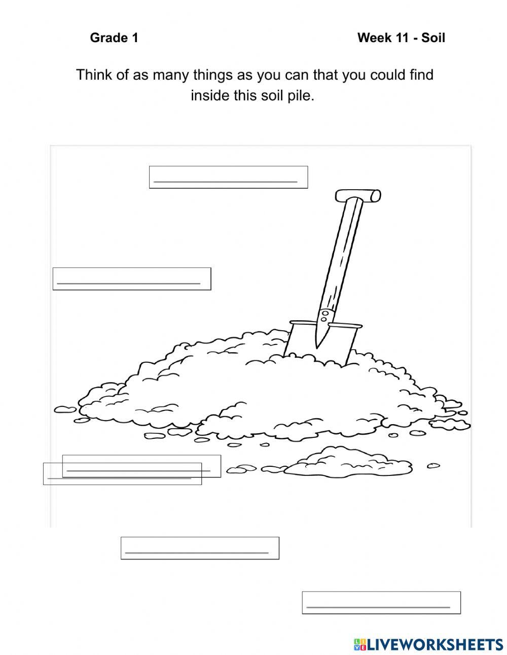 Soil free exercise | Live Worksheets