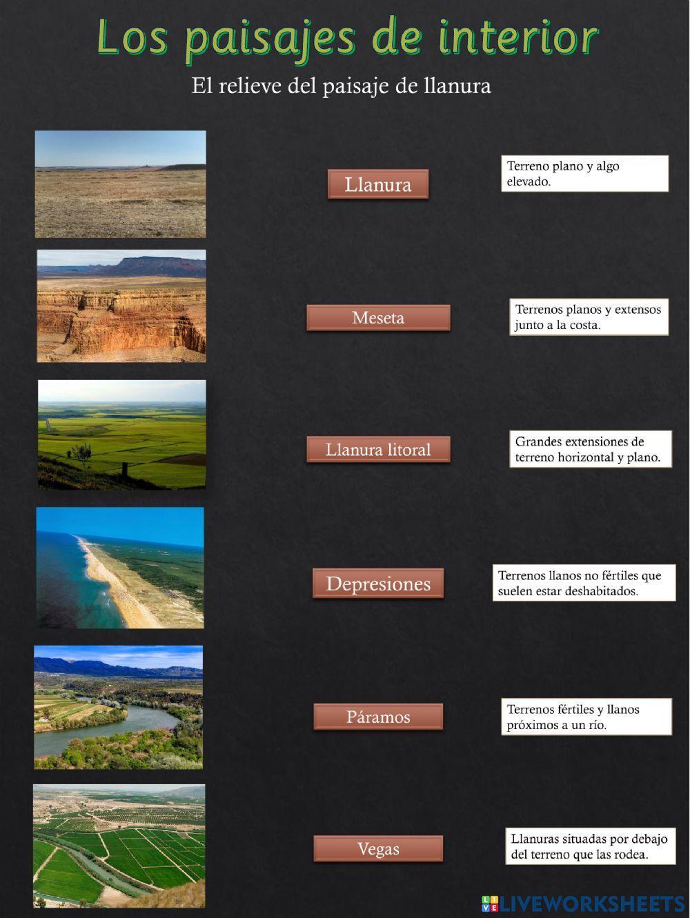 Relieve de llanura worksheet | Live Worksheets