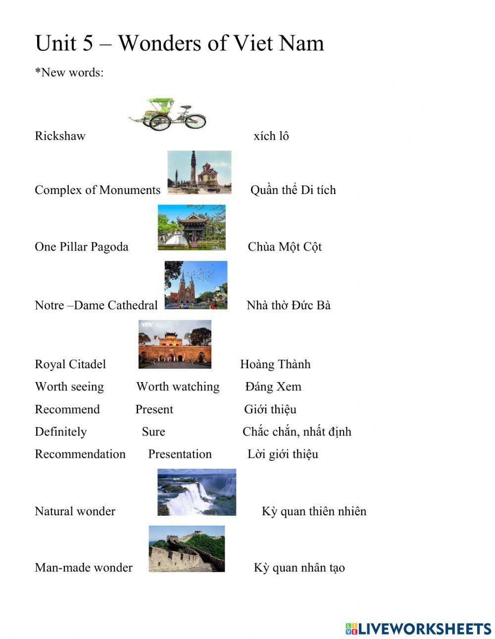 Unit 5 - new words worksheet | Live Worksheets