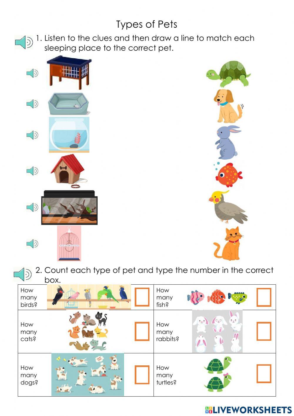 Types of Pets interactive worksheet | Live Worksheets