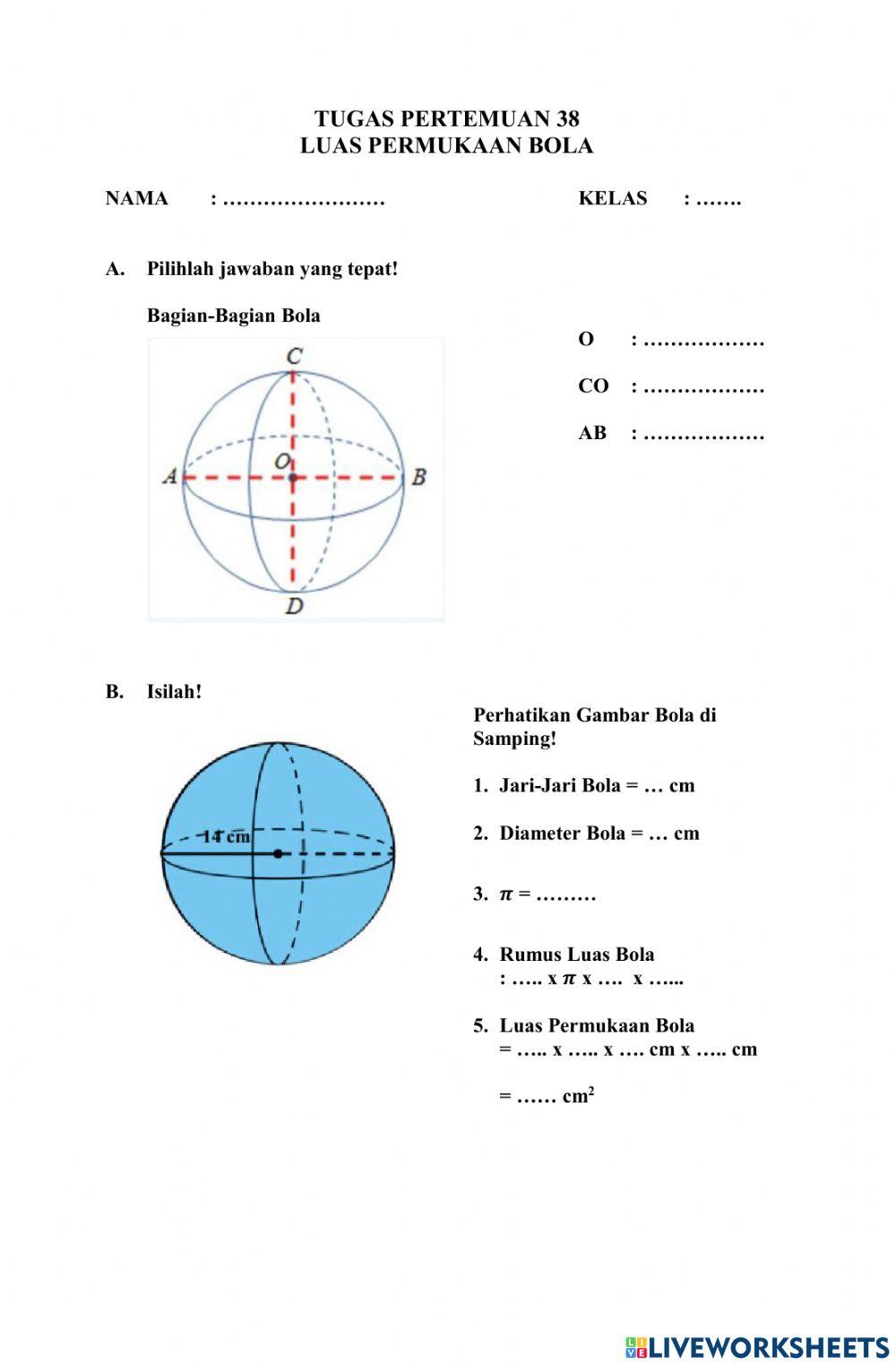 1599480 | P38-Luas Permukaan Bola | Nendi Rohaendi