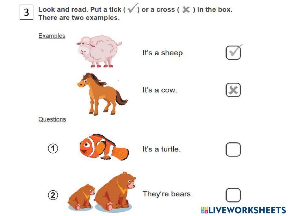 Test Animals worksheet | Live Worksheets