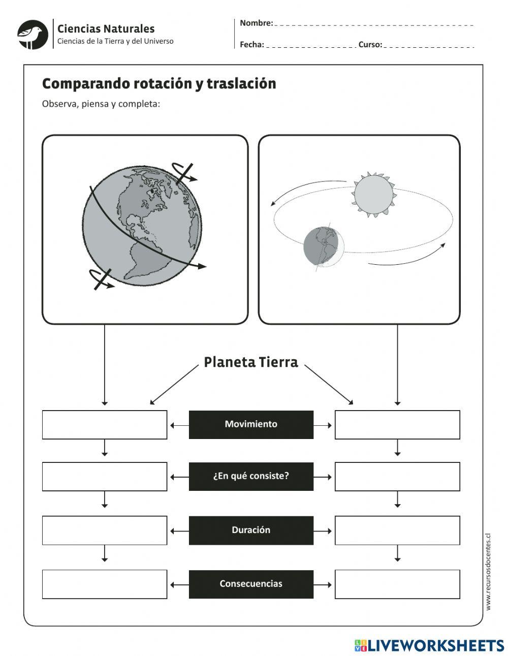 Rotación y traslación online exercise for | Live Worksheets