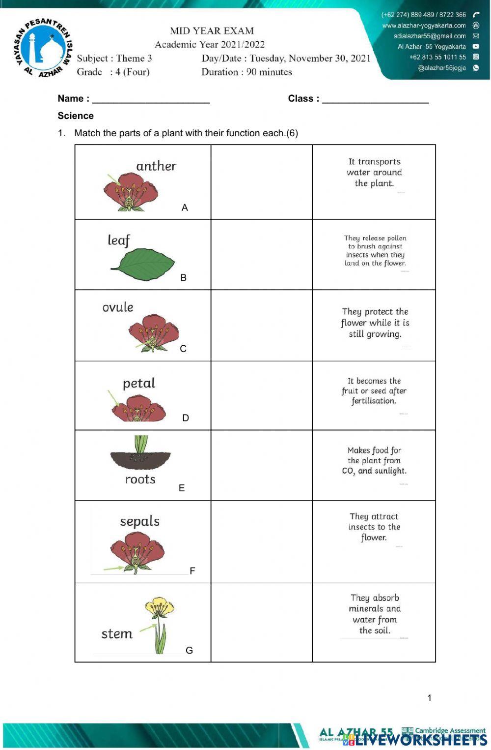 GRADE 4 THEME 3 MID YEAR EXAM 2021-2022 online exercise for | Live ...