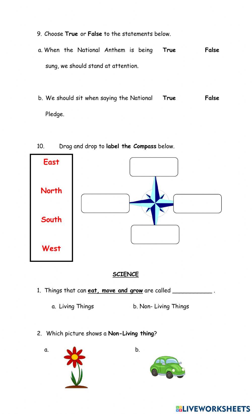 Christmas Term Test 2021 - Social-Studies-Science online exercise for ...